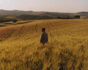 🍀 the brand Ffern - Go-to-Millions